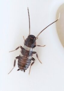 株式会社タニサケ