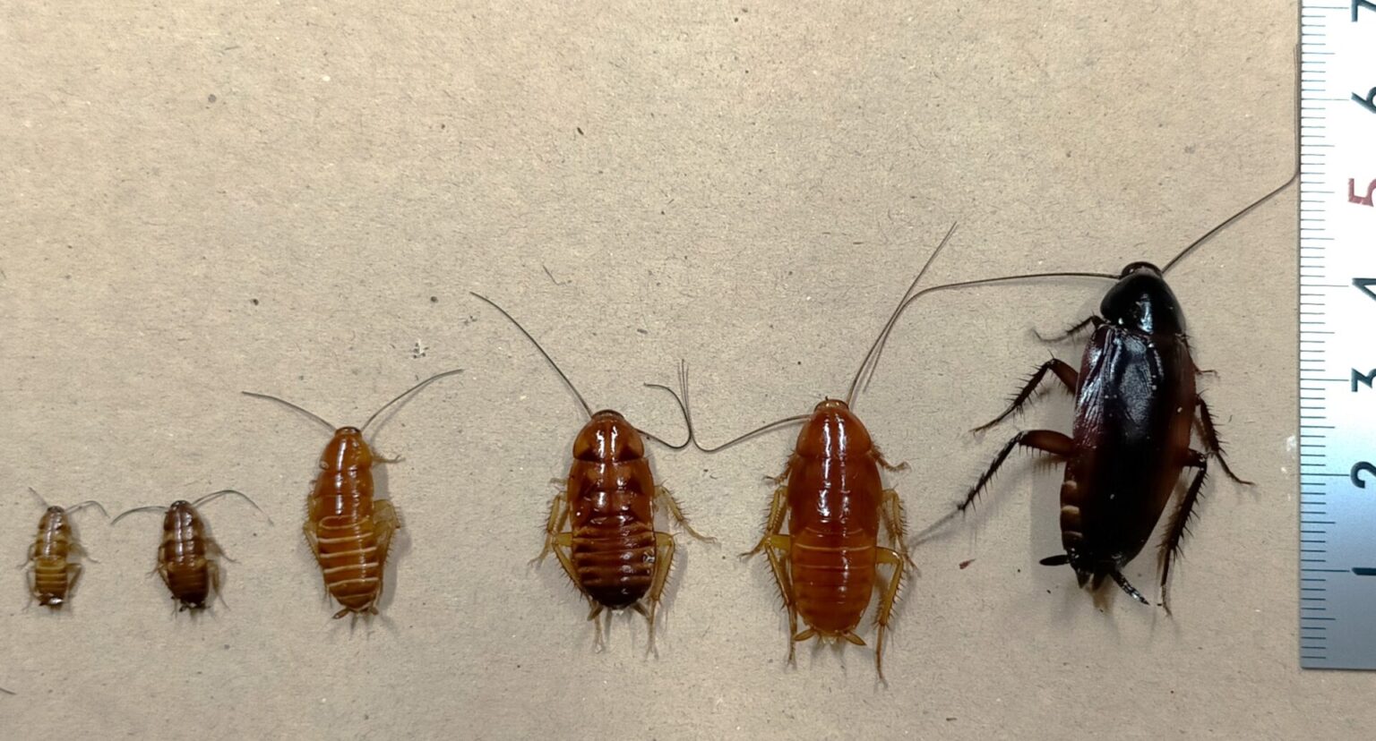 株式会社タニサケ