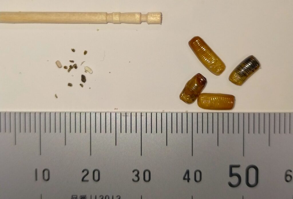 株式会社タニサケ